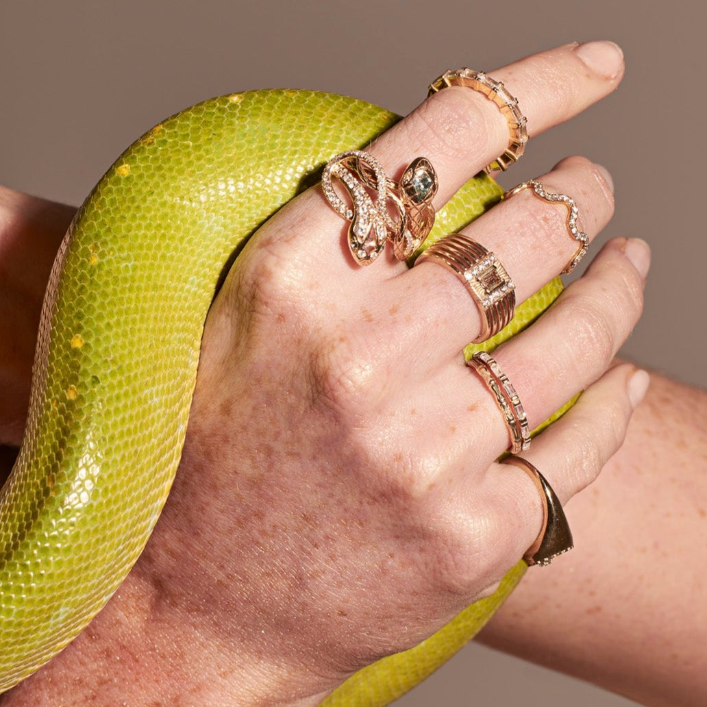 SNAKE CHARMER– White November